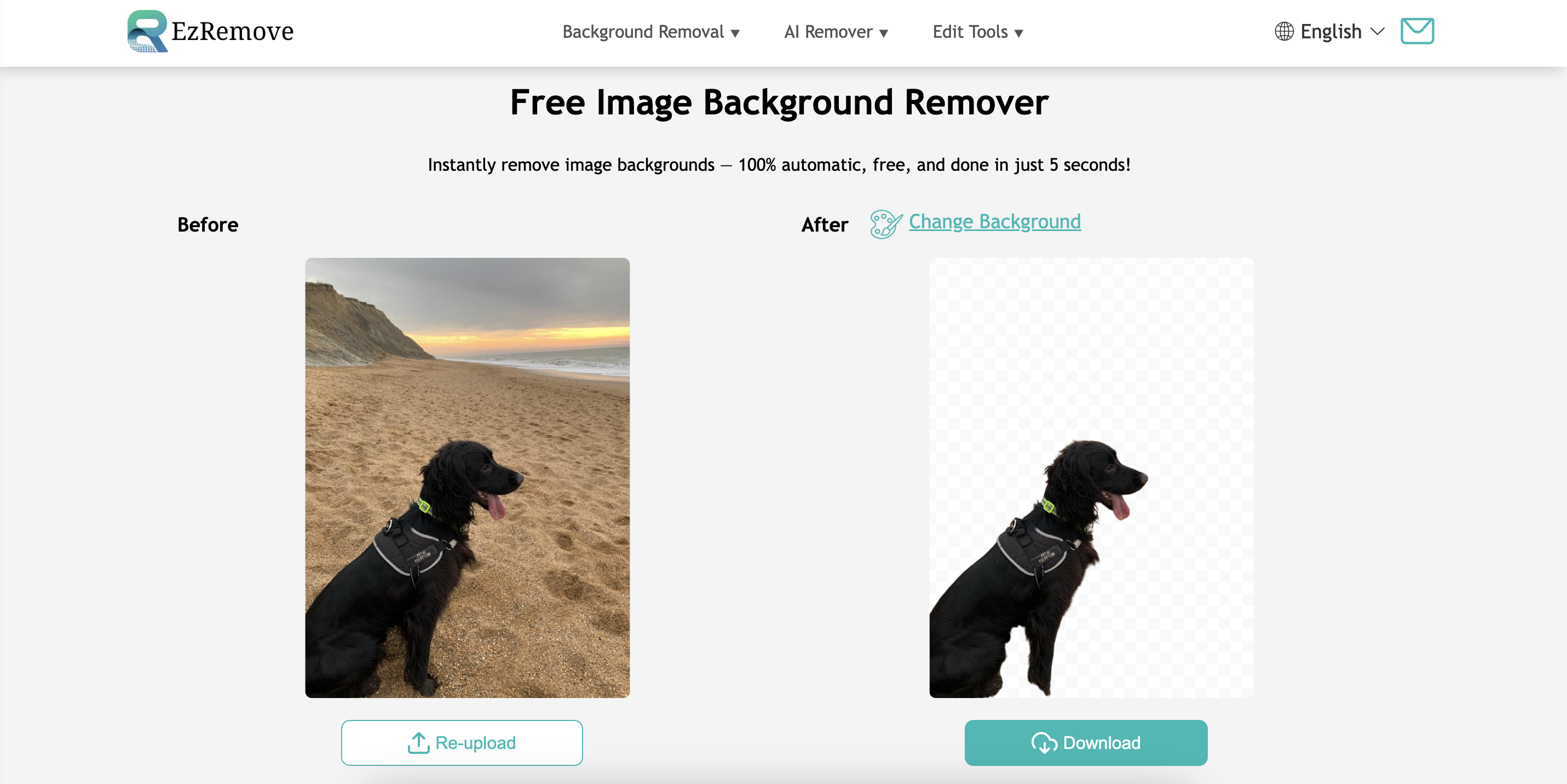 Remove.bg Alternatives: Best & Worst Options [Tried