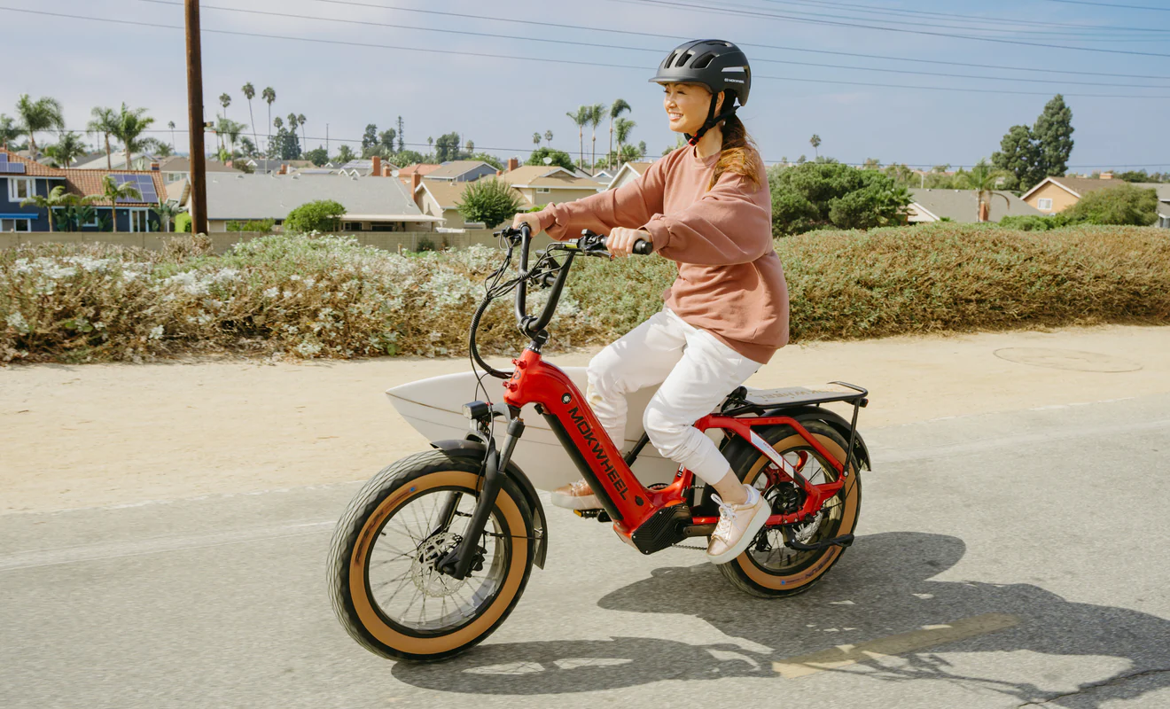 Before Choosing an Electric Bike, First Think Through…